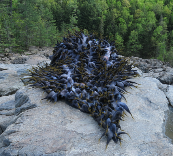 MOVE ME/TOUCHEZ MOI MARJOLEIN DALLINGA - Bloomfelt
